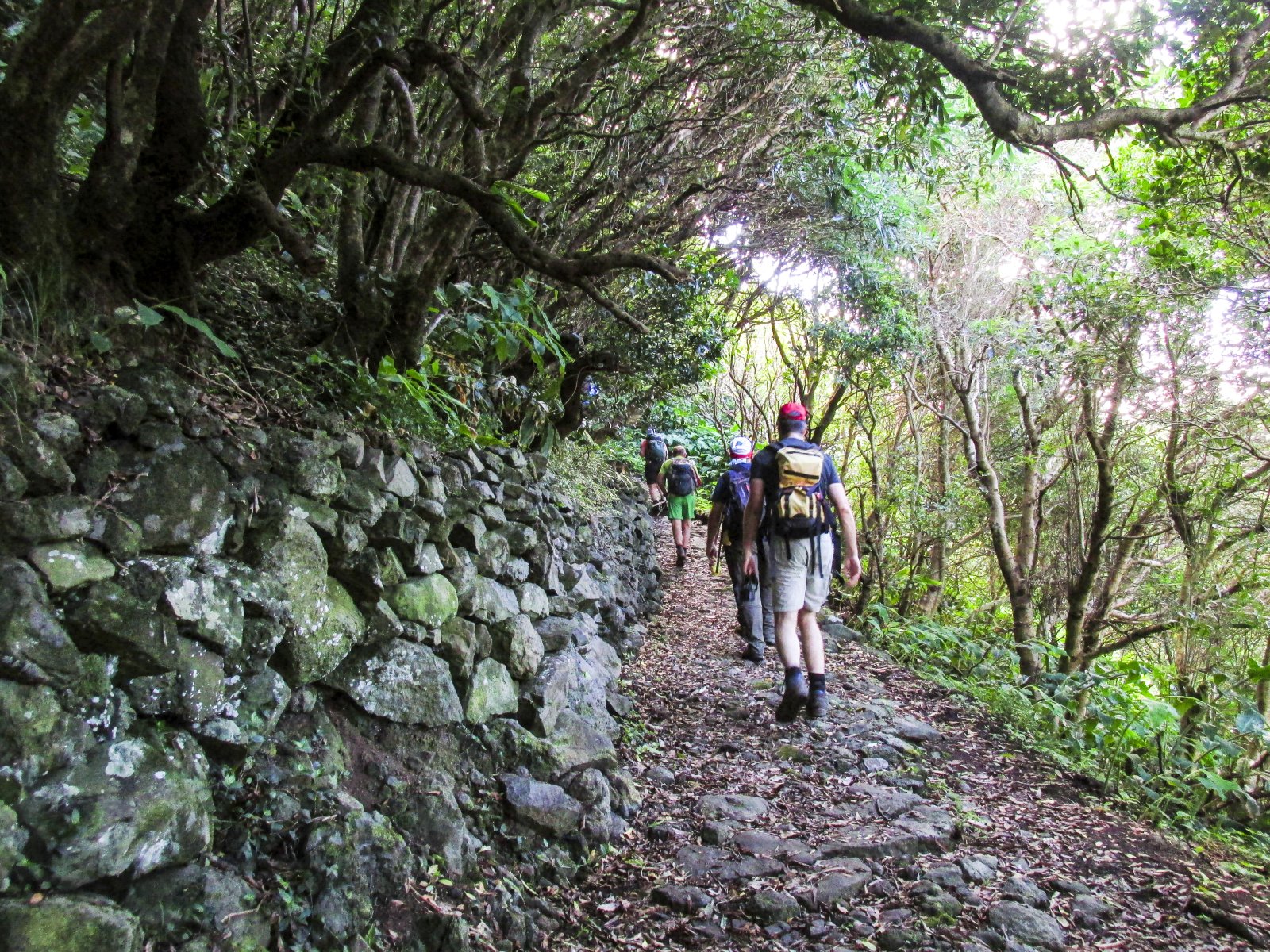 Reisebericht Azoren - Wandern bei den Wettergöttern
